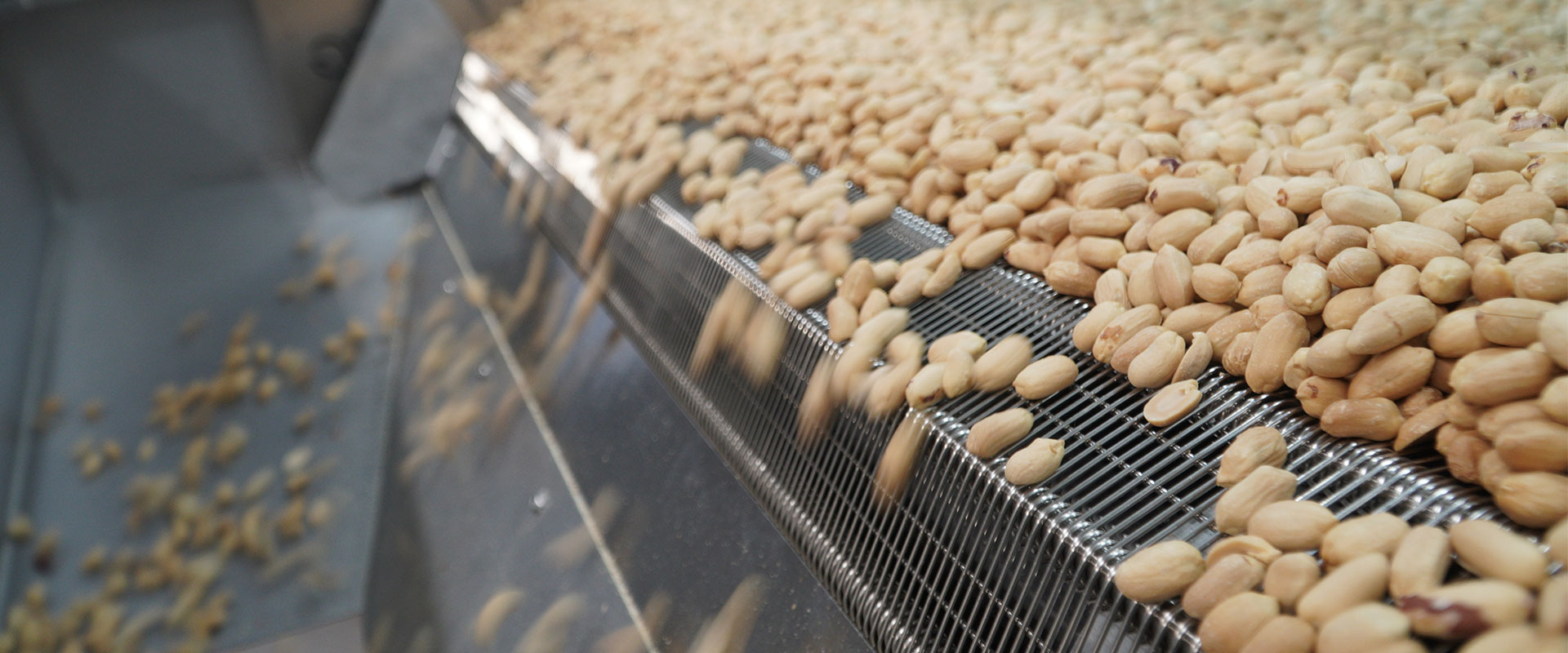 Nuts Roasting And Seasoning Solution